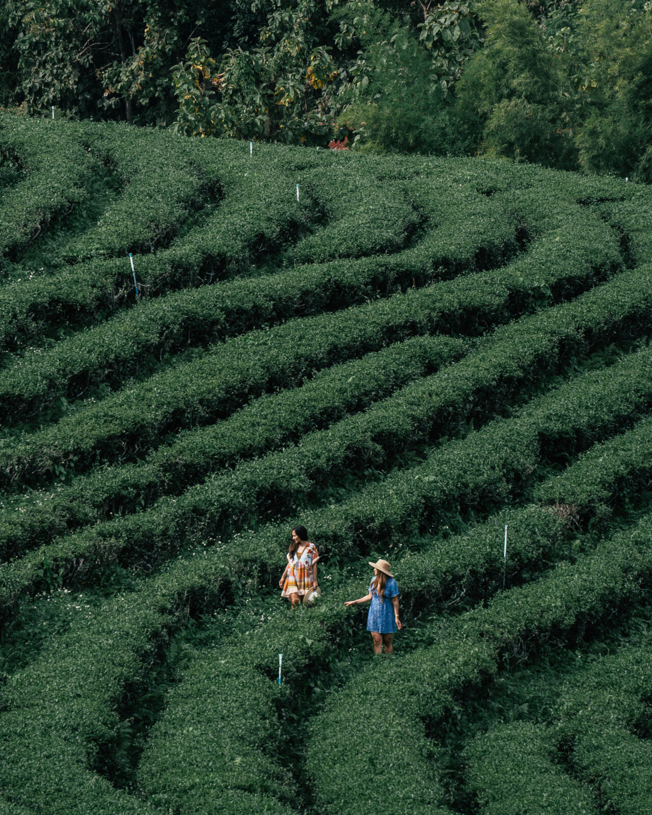 Chiang Rai, Thailand: The Ultimate Travel Guide