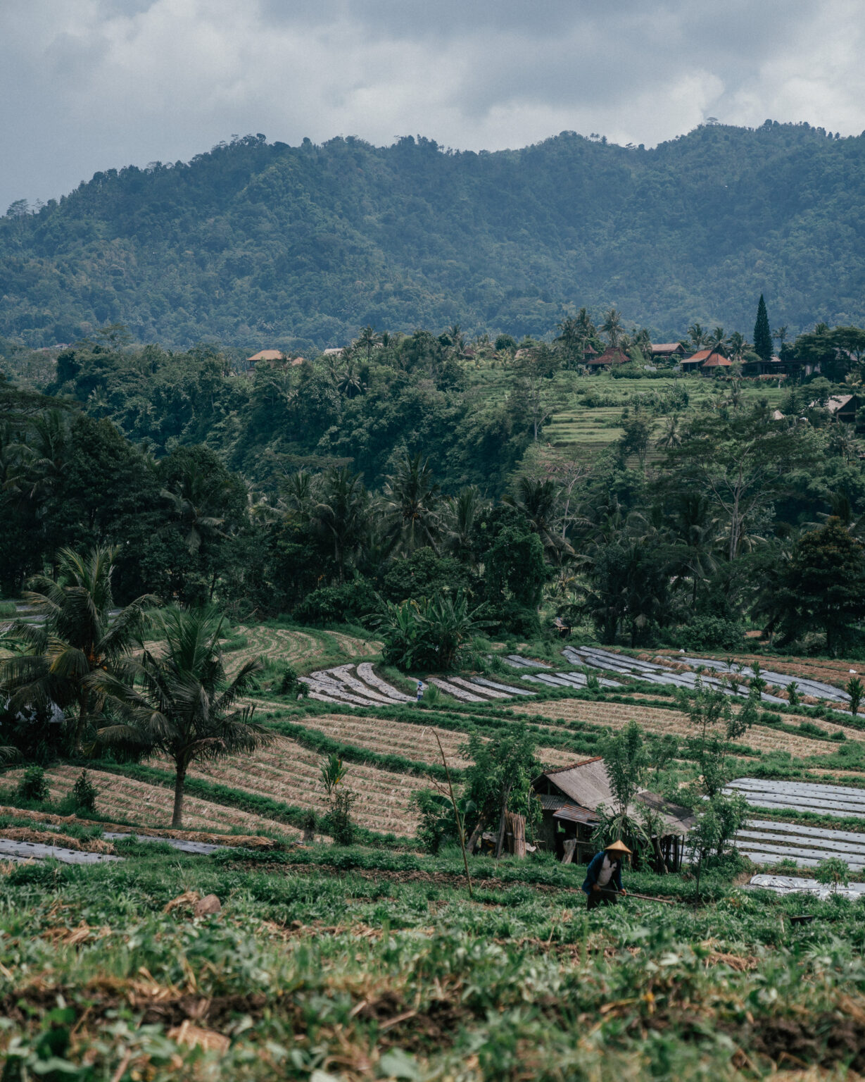 Sideman, Bali: Travel Guide to the Island's Spectacular East